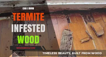 Termite-Infested Wood: Safe Burning Practices And Alternatives | WoodRio