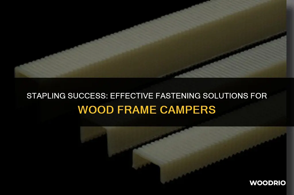 Stapling Success: Effective Fastening Solutions For Wood Frame Campers ...